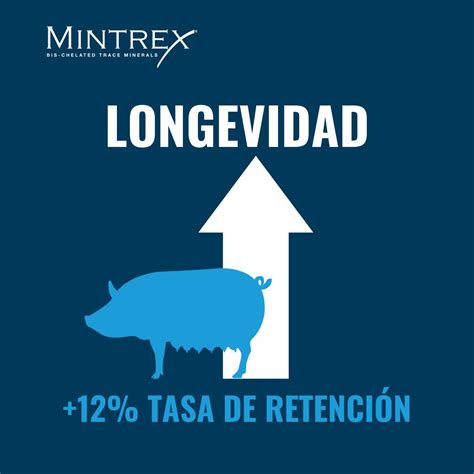 Mariana Ojea Posted On Linkedin