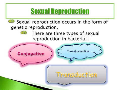 Sexual Reproduction In Bacteria Pptx