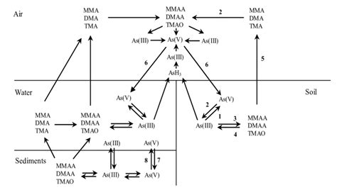 Geochemical Cycle Of Arsenic 1 Oxidation 2 Reduction 3