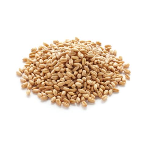 Grain Kernels Hard Spring Wheat Organic Choices Markets