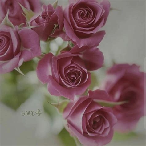 Tan Poh Yee On Linkedin Eq之王 Eqking