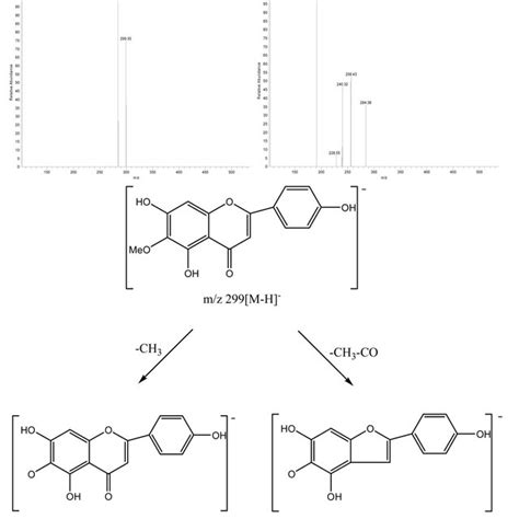The Mass Spectrogram And The Structure Analysis Of The Compound