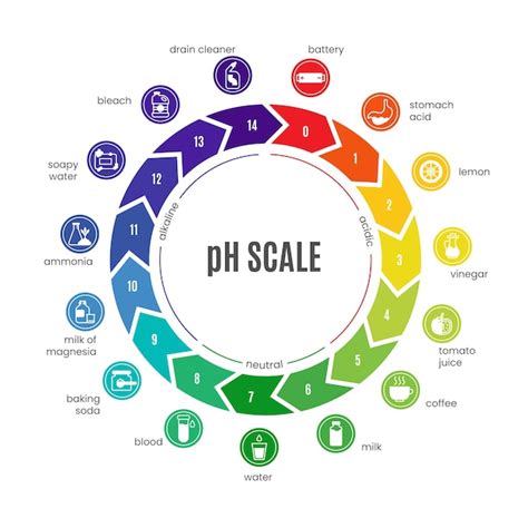 Free Vector Flat Design Ph Scale Infographic