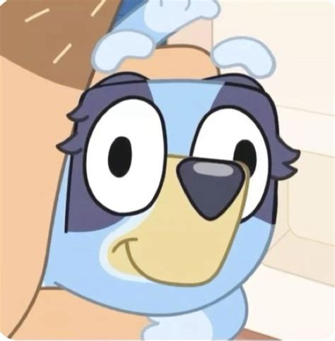 Bluey Pfp
