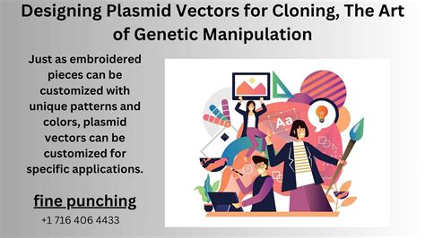 Designing A Plasmid Vector A Blueprint For Genetic Engineering By Fine Punching Medium