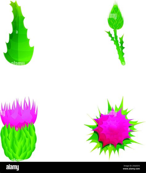 Thistle Plant Icons Set Cartoon Vector Purple Flowering Thistle With