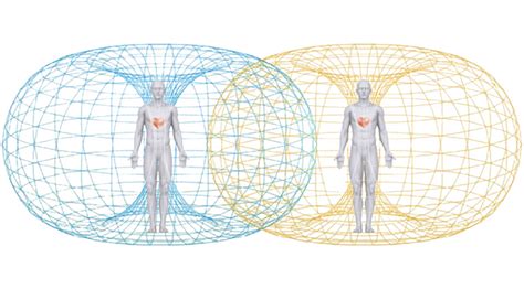 On The Toroidal Field