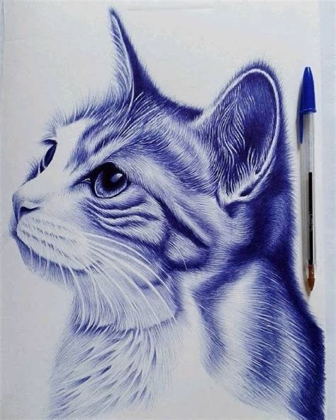 Amazing Cat Art Pen Art Drawings Pen Drawing Pen Art Work
