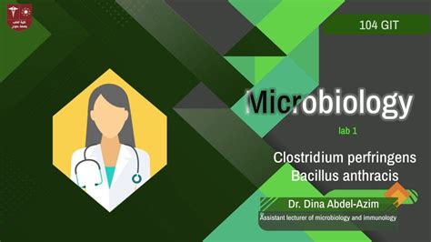 Lab1 Clostridium Perfringens Bacillus Anthracis Youtube
