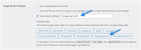 use image caption as alt text automatically image attributes pro