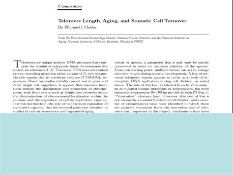 Presentation On Eukaryotic Dna Replication Ppt