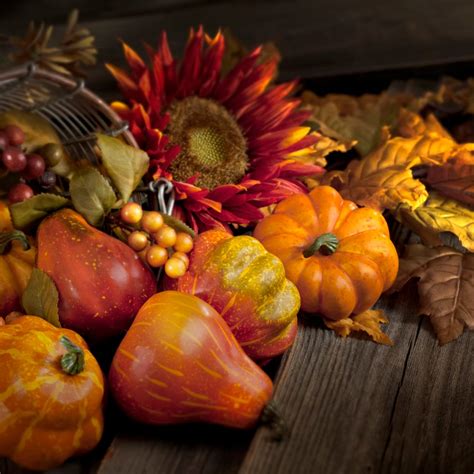 Thanksgiving Cornucopia Meaning Why A Horn Of Plenty Symbolizes