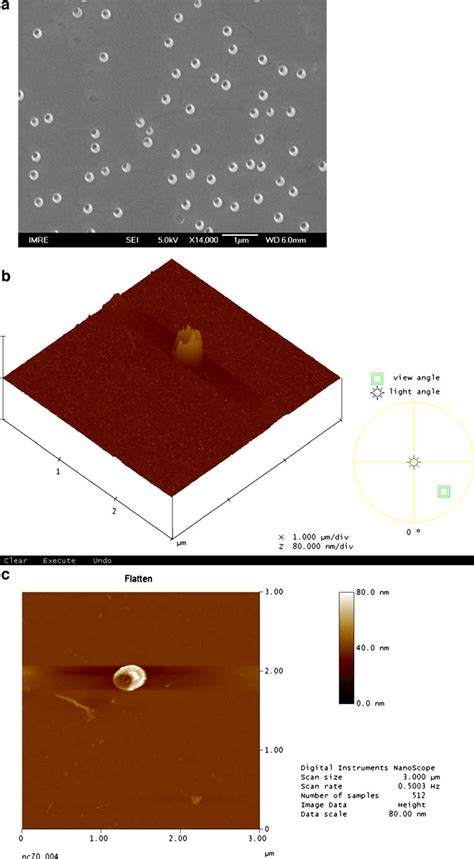Sem And Afm Pictures Of The Fabricated 3d Nanostructures A Top View Download Scientific