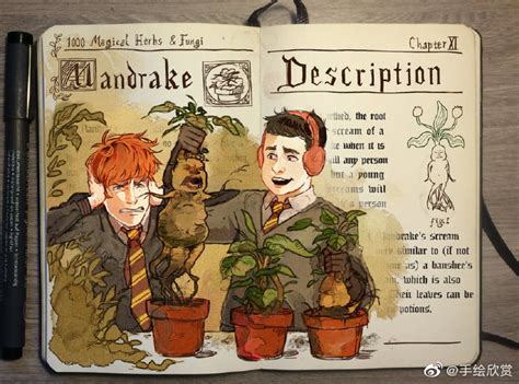一个《哈利波特》迷的速写本。作者：gabri 高清图片，堆糖，美图壁纸兴趣社区