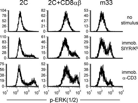 The Impact Of Tcr Binding Properties And Antigen Presentation Format On