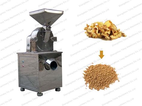 Ginger Slicing Machine Ginger Cutting Slicer Machine Taizy