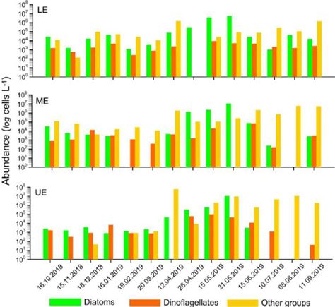 Cell Abundances Of The Phytoplankton Groups In The Lower Middle And