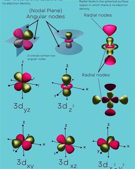 Broken Ribs D Orbital Illustration Diagram Of D Orbital Nodal