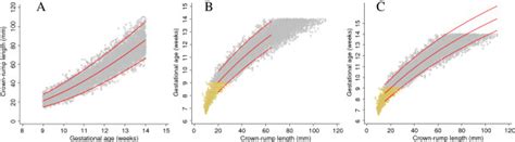 Crown Rump Length Measurements In Relation To Gestational Age With Download Scientific Diagram