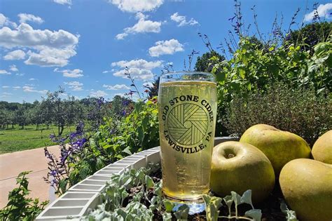 Cider Season Is Here 10 Best Ciders You Need To Try