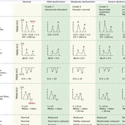 Diastolic Dysfunction Grades Natarajan Et Al 2013 Download Scientific Diagram