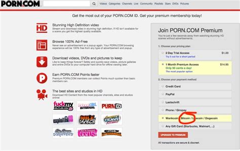 Bitcoin Erotic Bitcoin Payments In The Erotic Industry