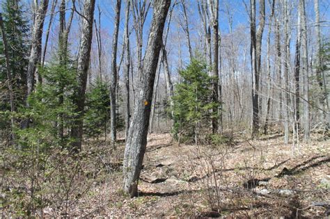 Elevation Of Goodman Rd Johnsburg Ny Usa Topographic Map