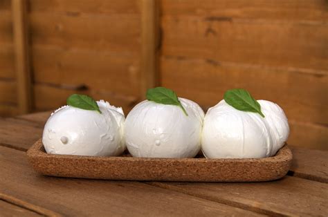 Italian Buffalo Mozzarella Buffalo Mozzarella Italian Mo Flickr
