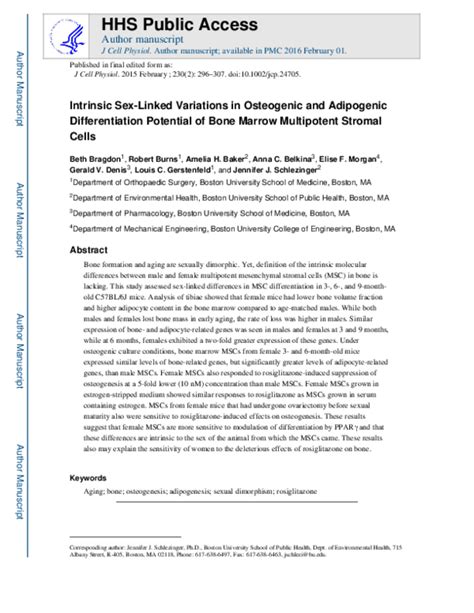 Pdf Intrinsic Sex Linked Variations In Osteogenic And Adipogenic Differentiation Potential Of