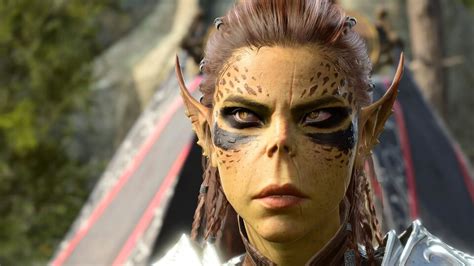 Baldurs Gate 3 Fan Opfert Alles Für Laezel Und Bekommt Das