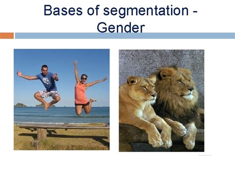 Segmentation Targeting Positioning Segmentation Targeting Positioning