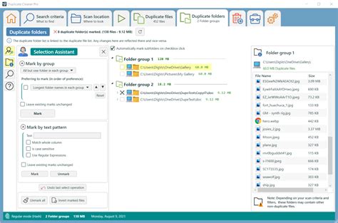 duplicate cleaner remove duplicate files