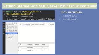 Run Containerized Database SQL Server Linux PPT