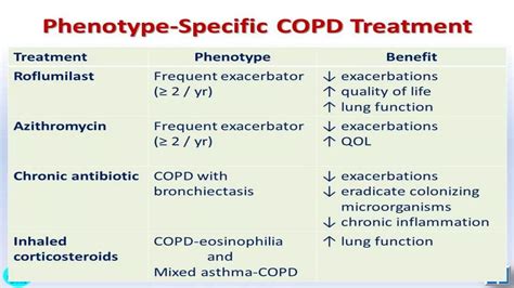 Azithromycine Ppt By Shyine Raj Pptx