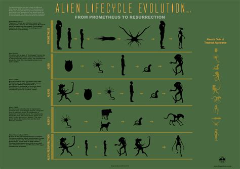 Evolution Of Xenomorph