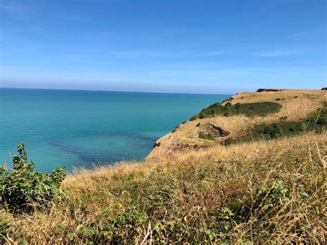 Img 20220808 Wa0017 Coco Maco Flickr