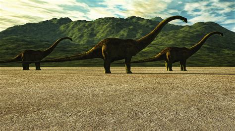 Long Dinosaur Nature Desert Long Neck Dinosaurs Daytime 1080p