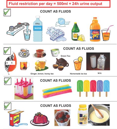 Renal Diet Picture Guide Renal Plus