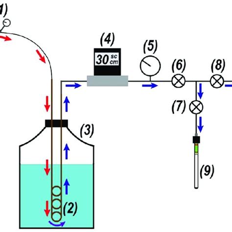 Parahydrogen Generator Schematic H 2 Gas 1 Is Directed Into The