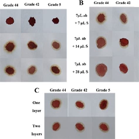 Plasma Separation Tested On Different Filter Paper Types Anti H
