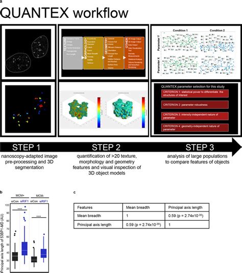 Image Analysis Software Quantex And Feature Comparison For Maximum