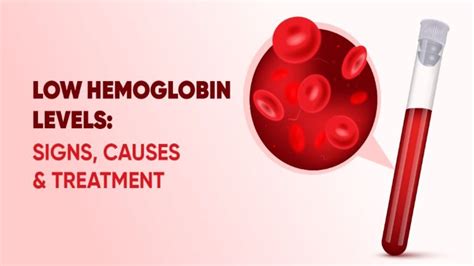 5 Food Items To Increase Hemoglobin Levels