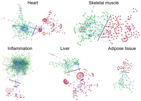 All Networks Evidence A Bipartite Structure And Dash Line Indicates