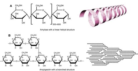 Iodine Solution Structure