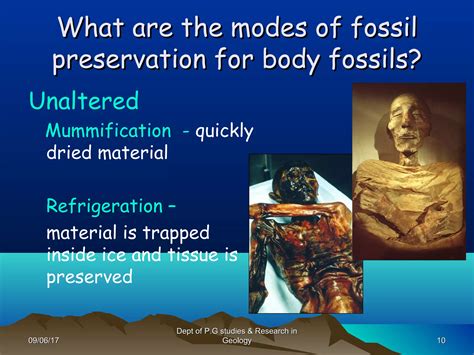 Fossils And Fossilization Ppt