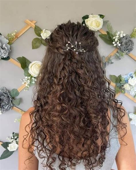 Half Up Half Down Curly For Wedding Braids With Curly Hair