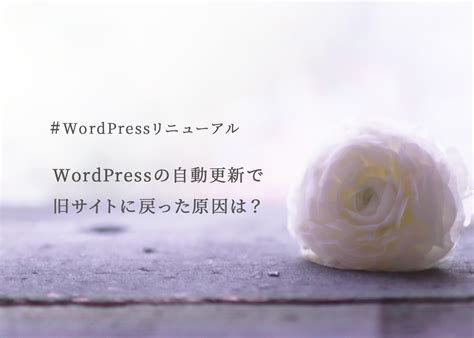 【リニューアル時に注意！】wordpressの自動更新で旧サイトに戻る理由 Webデザインブログ