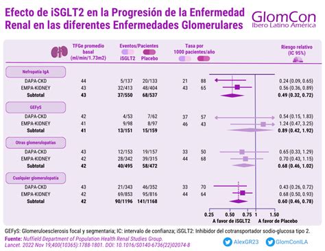 Inhibidores De Sglt 2 En La Enfermedad Glomerular Ibero Latino América
