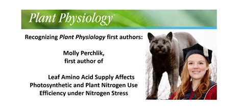 Recognizing Plant Physiology First Authors Molly Perchlik Plantae