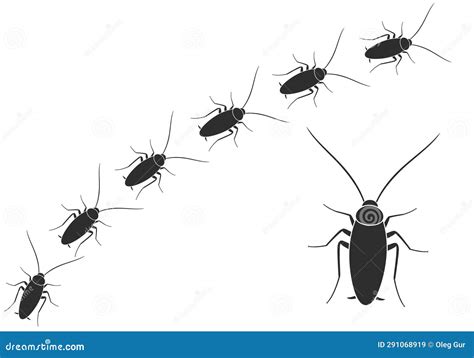 Cockroach Logo Design Vector Illustration Cockroach Design Template Royalty Free Stock